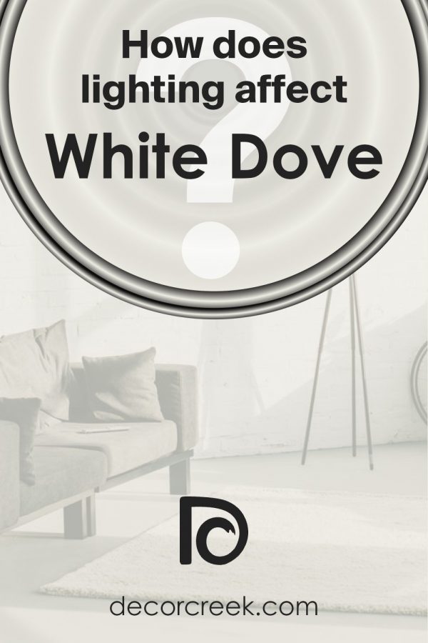 White Dove OC-17 Paint Color by Benjamin Moore - DecorCreek
