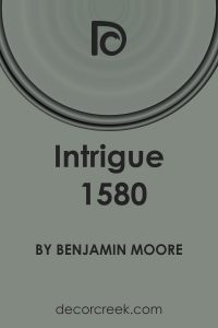 Intrigue 1580 Paint Color by Benjamin Moore - DecorCreek