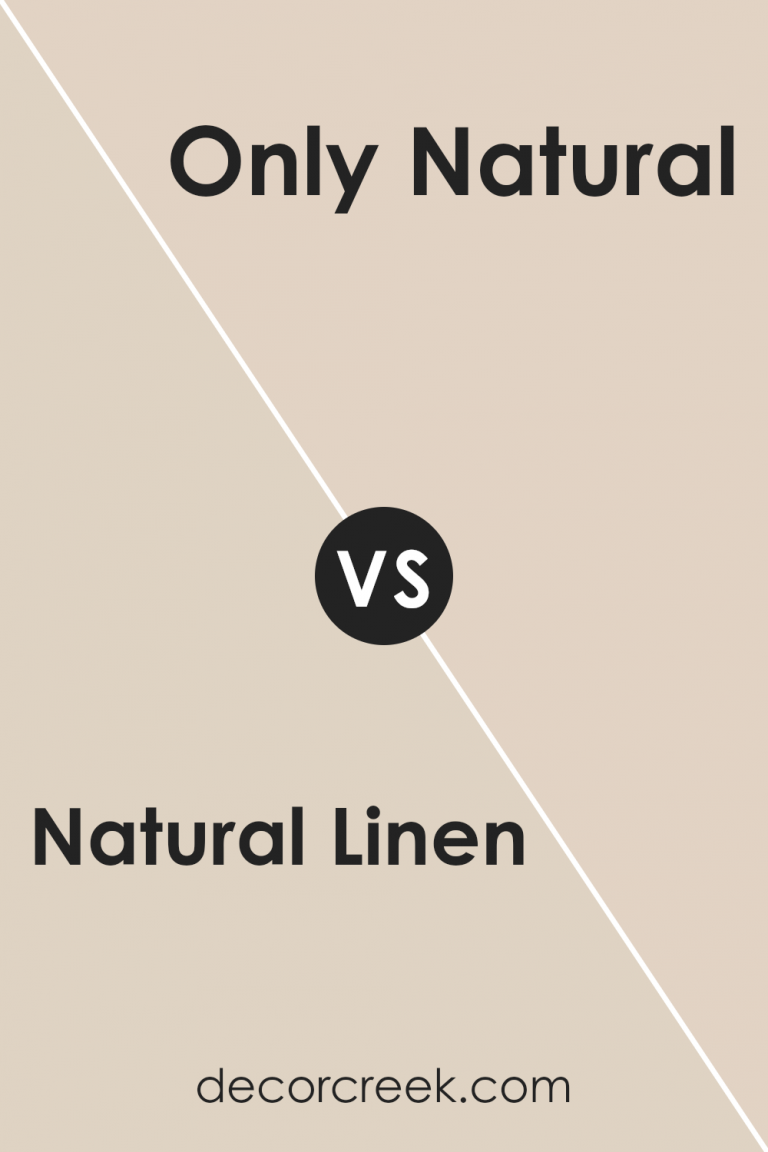 Natural Linen SW 9109 Paint Color by Sherwin Williams - DecorCreek