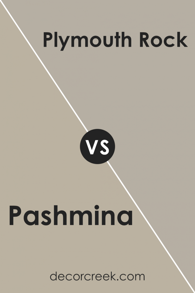 Pashmina AF-100 Paint Color by Benjamin Moore - DecorCreek