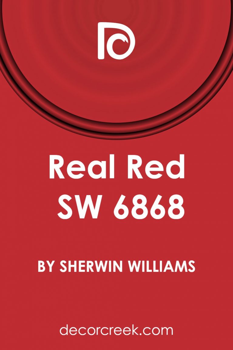 Real Red SW 6868 Paint Color by Sherwin Williams - DecorCreek