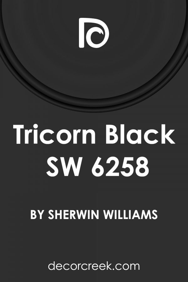 Tricorn Black SW 6258 Paint Color by Sherwin Williams - DecorCreek