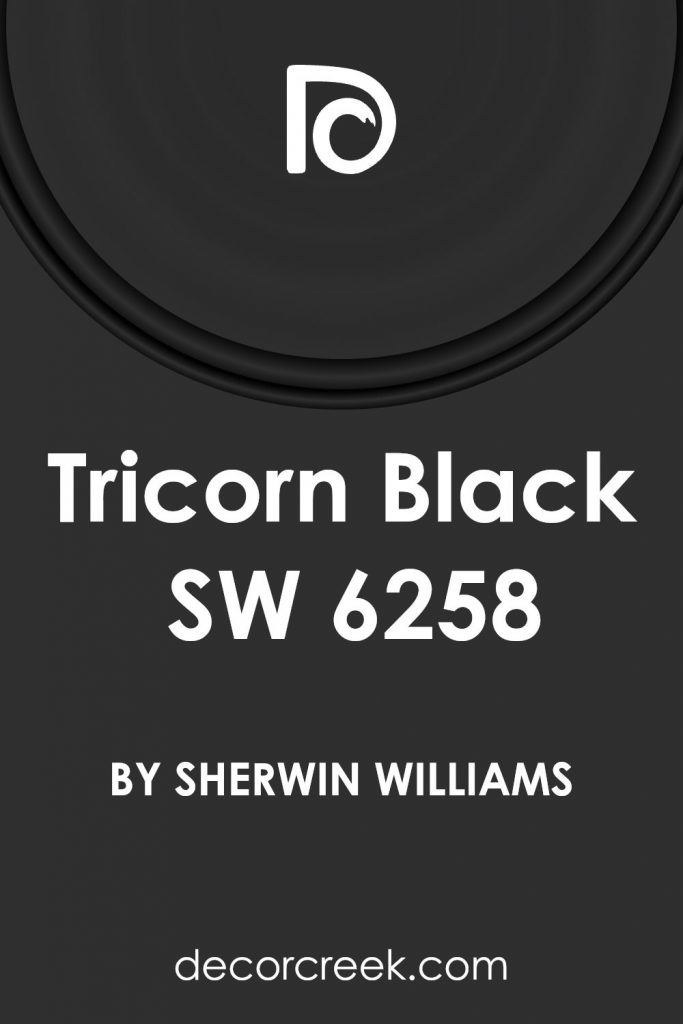Tricorn Black SW 6258 Paint Color by Sherwin Williams - DecorCreek