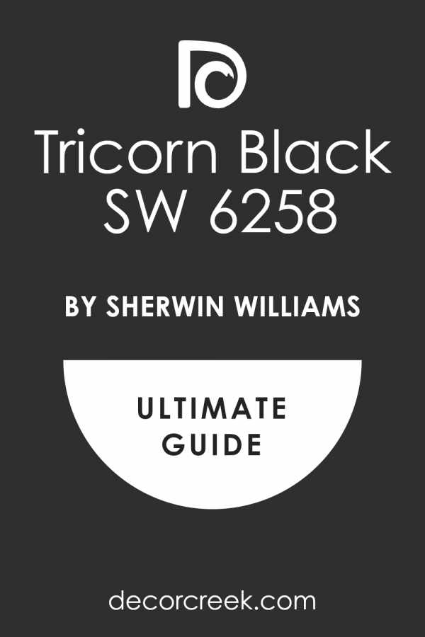 Tricorn Black SW 6258 Paint Color by Sherwin Williams - DecorCreek