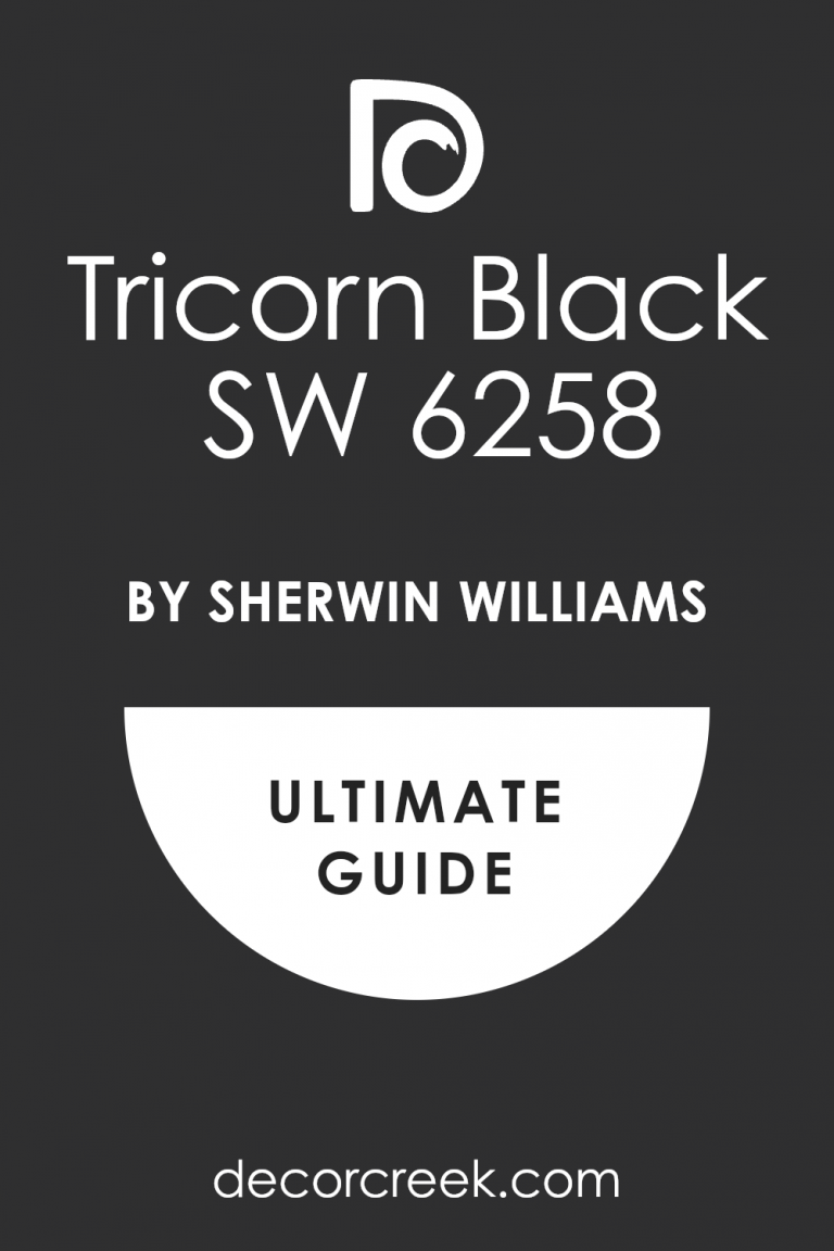 Tricorn Black SW 6258 Paint Color by Sherwin Williams - DecorCreek