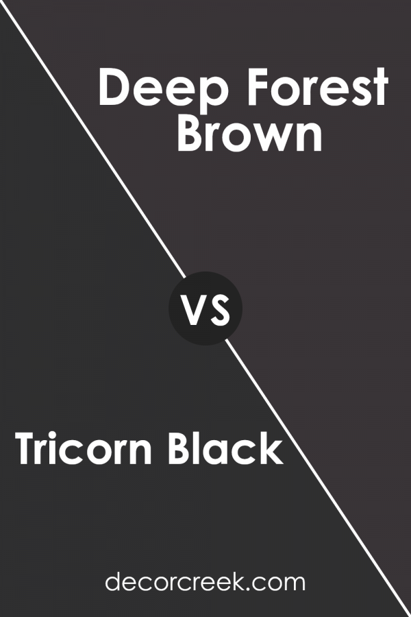 Tricorn Black SW 6258 Paint Color by Sherwin Williams - DecorCreek