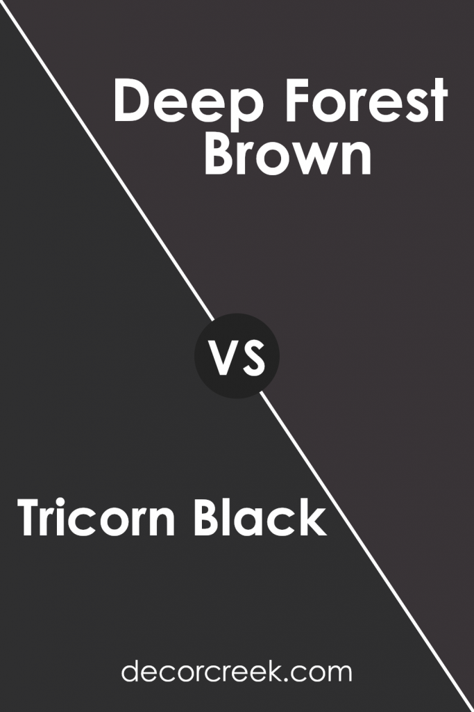 Tricorn Black SW 6258 Paint Color by Sherwin Williams - DecorCreek