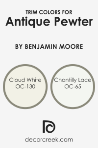 Antique Pewter 1560 Paint Color by Benjamin Moore - DecorCreek