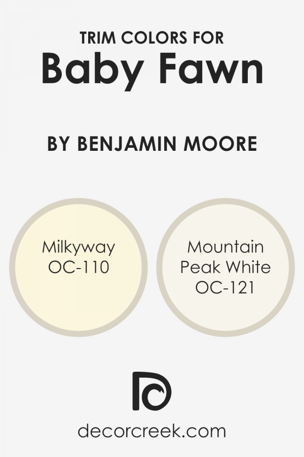 Baby Fawn OC-15 Paint Color by Benjamin Moore - DecorCreek