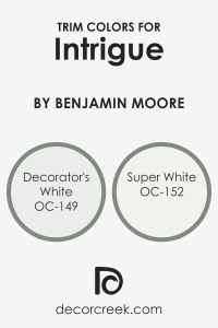 Intrigue 1580 Paint Color by Benjamin Moore - DecorCreek