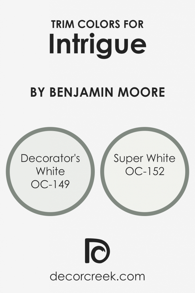 Intrigue 1580 Paint Color by Benjamin Moore - DecorCreek