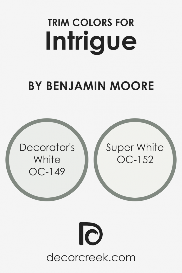 Intrigue 1580 Paint Color by Benjamin Moore - DecorCreek