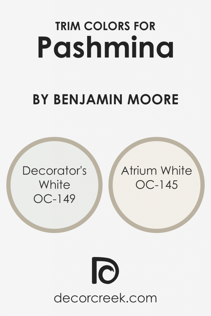 Pashmina AF-100 Paint Color by Benjamin Moore - DecorCreek