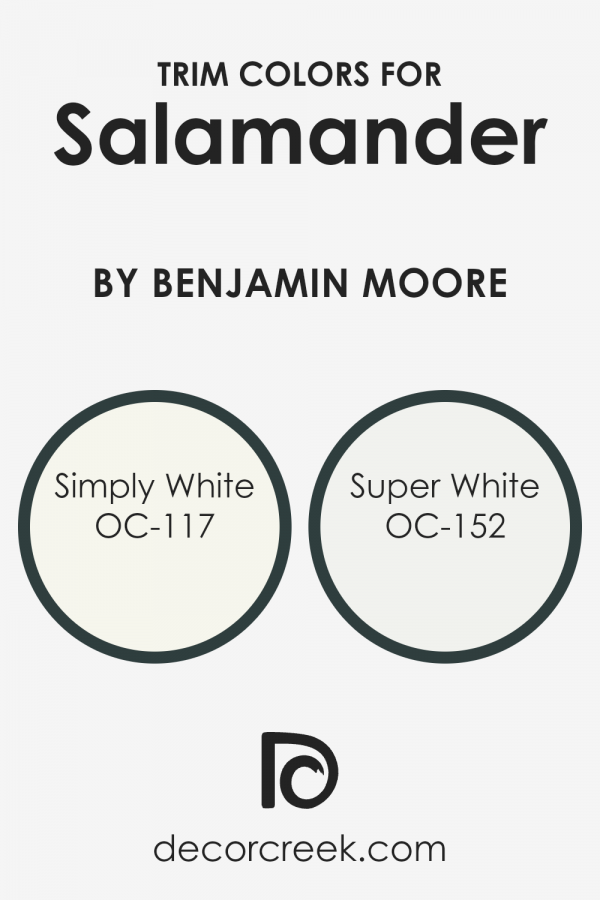 Salamander 2050-10 Paint Color by Benjamin Moore - DecorCreek