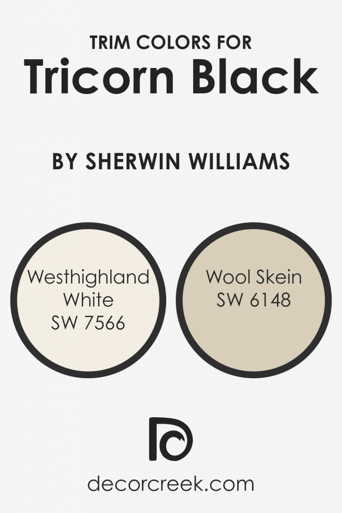 Tricorn Black SW 6258 Paint Color by Sherwin Williams - DecorCreek