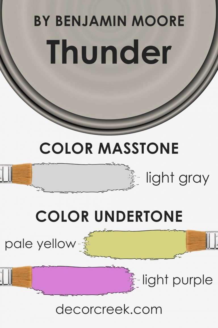 Thunder AF-685 Paint Color by Benjamin Moore - DecorCreek