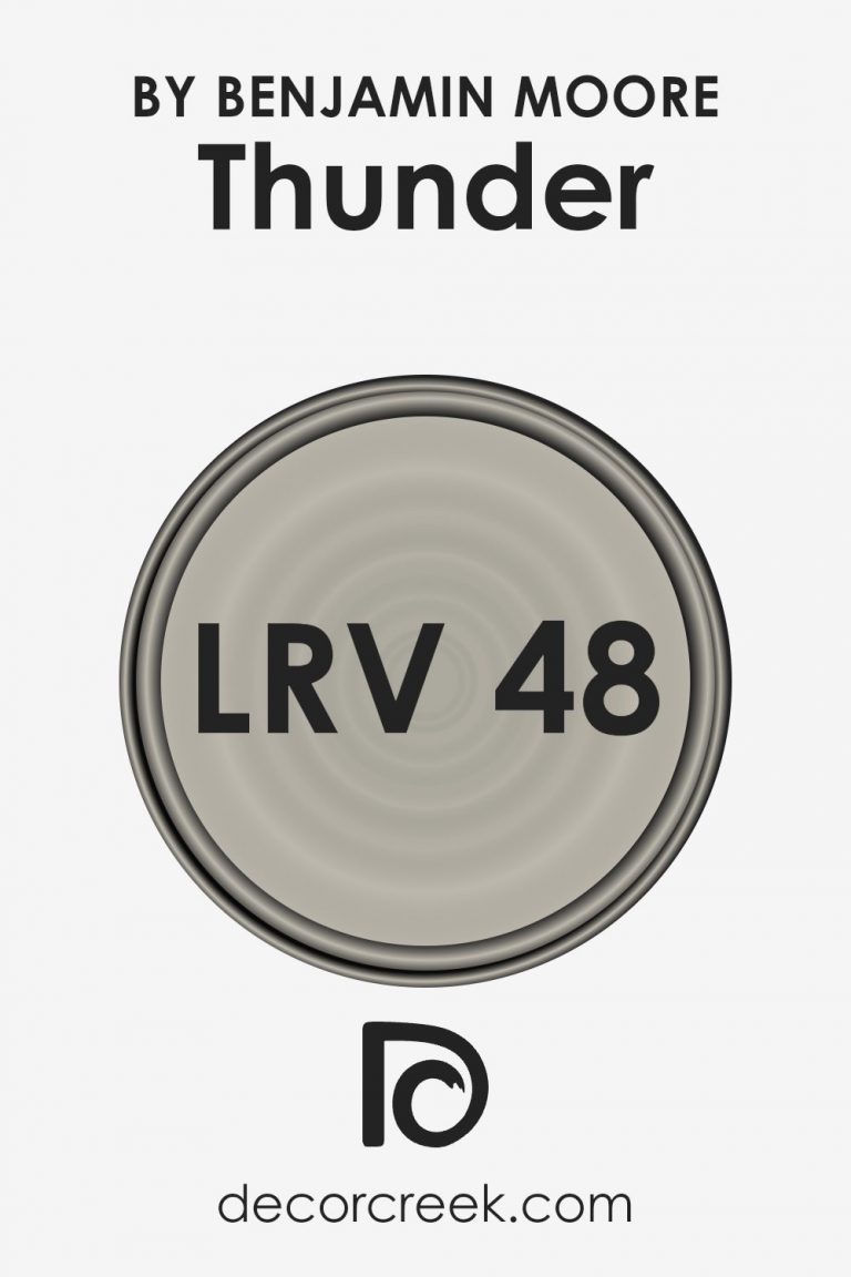 Thunder AF-685 Paint Color by Benjamin Moore - DecorCreek