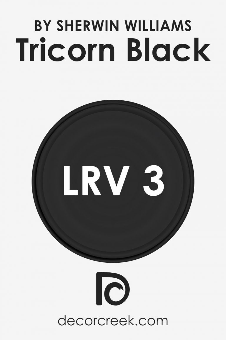 Tricorn Black SW 6258 Paint Color by Sherwin Williams - DecorCreek