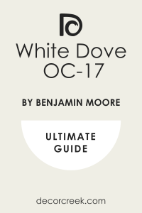 White Dove OC-17 Paint Color by Benjamin Moore - DecorCreek