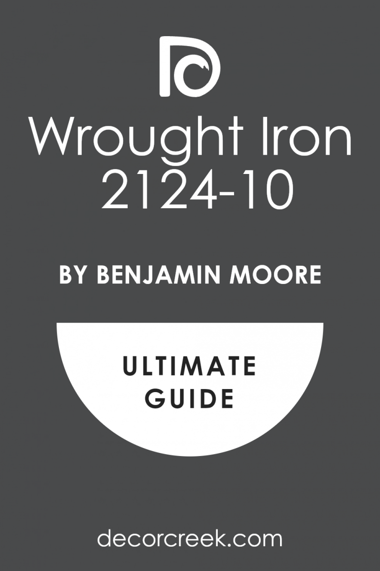 Wrought Iron 2124-10 Paint Color by Benjamin Moore - DecorCreek