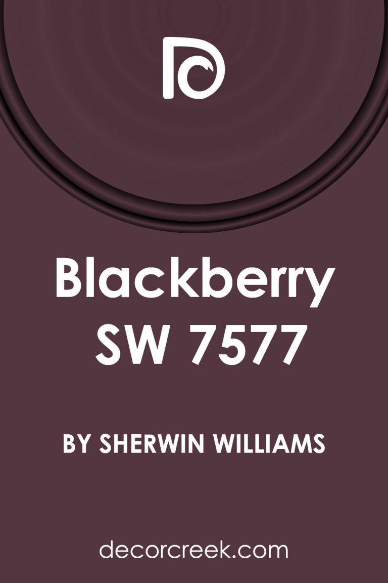 Blackberry SW 7577 Paint Color by Sherwin Williams - DecorCreek