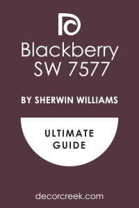 Blackberry SW 7577 Paint Color by Sherwin Williams - DecorCreek
