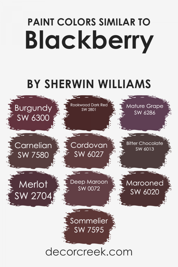 Blackberry SW 7577 Paint Color by Sherwin Williams - DecorCreek