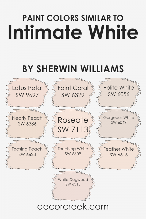 Intimate White SW 6322 Paint Color by Sherwin Williams - DecorCreek