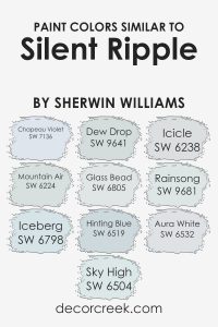 Silent Ripple SW 9682 Paint Color by Sherwin Williams - DecorCreek