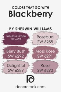 Blackberry SW 7577 Paint Color by Sherwin Williams - DecorCreek