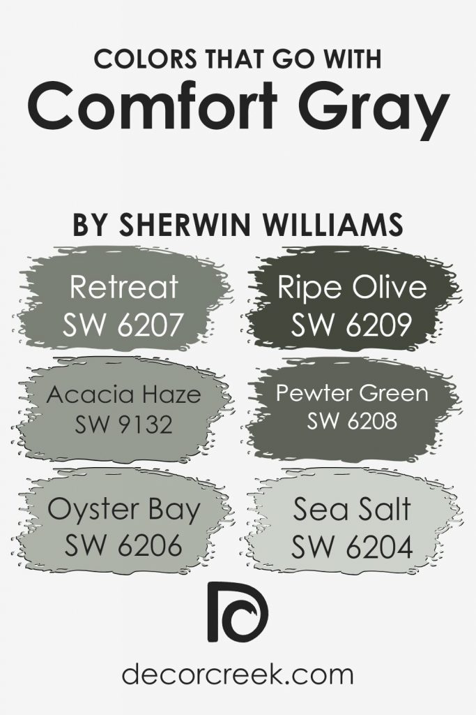 Comfort Gray SW 6205 Paint Color by Sherwin Williams - DecorCreek