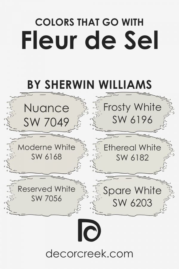 Fleur de Sel SW 7666 Paint Color by Sherwin Williams - DecorCreek