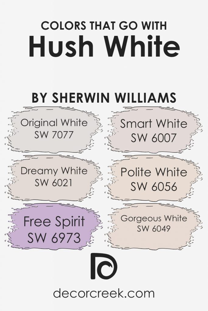 Hush White SW 6042 Paint Color by Sherwin Williams - DecorCreek