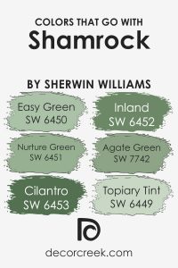 Shamrock SW 6454 Paint Color by Sherwin Williams - DecorCreek