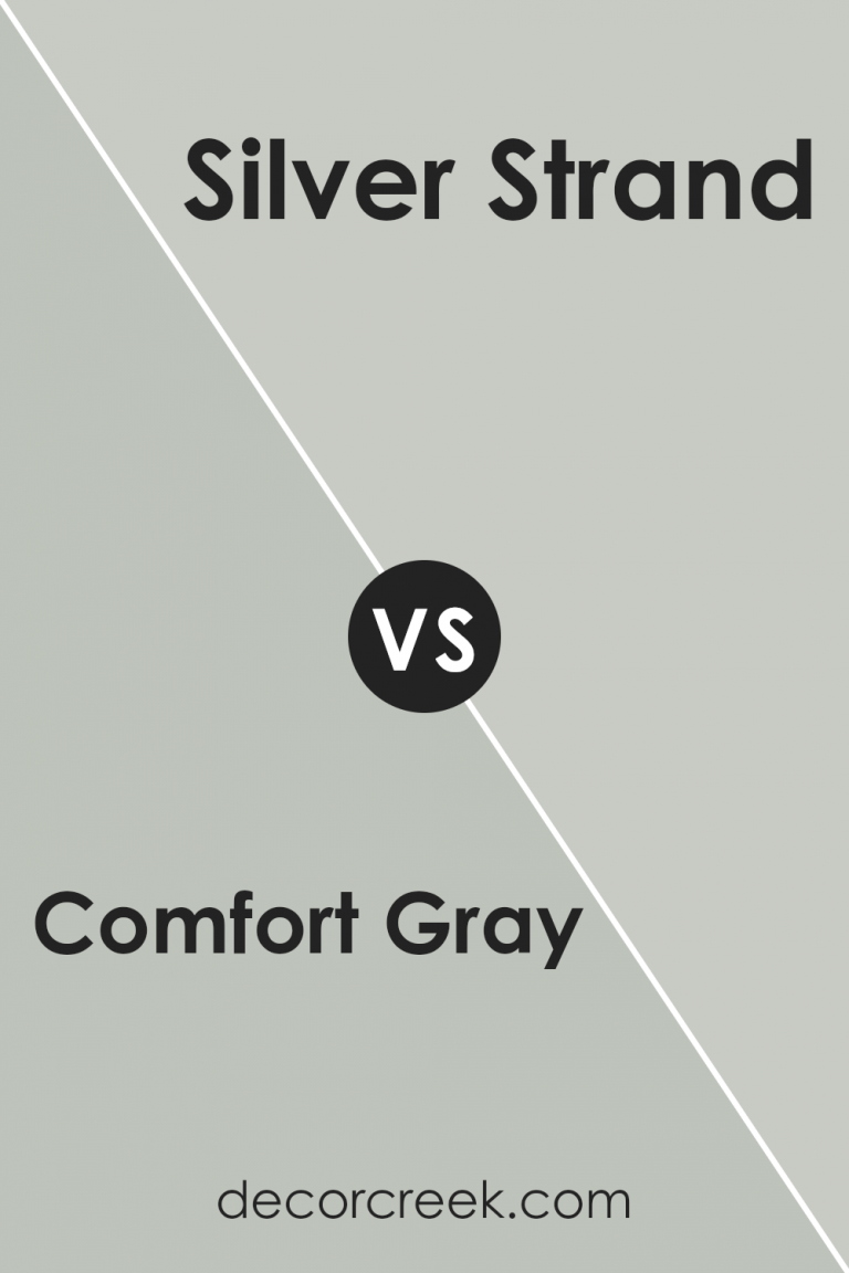 Comfort Gray SW 6205 Paint Color by Sherwin Williams - DecorCreek