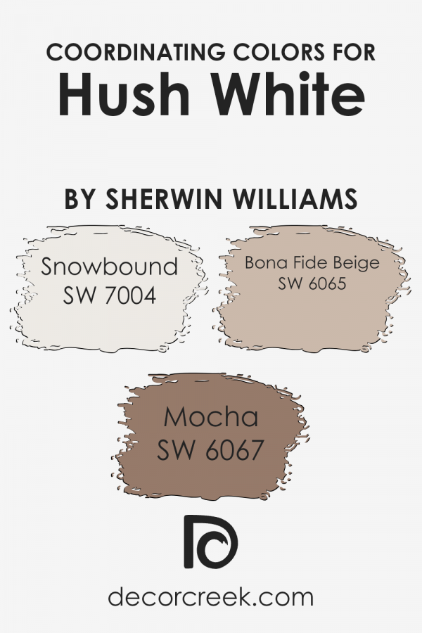 Hush White SW 6042 Paint Color by Sherwin Williams - DecorCreek