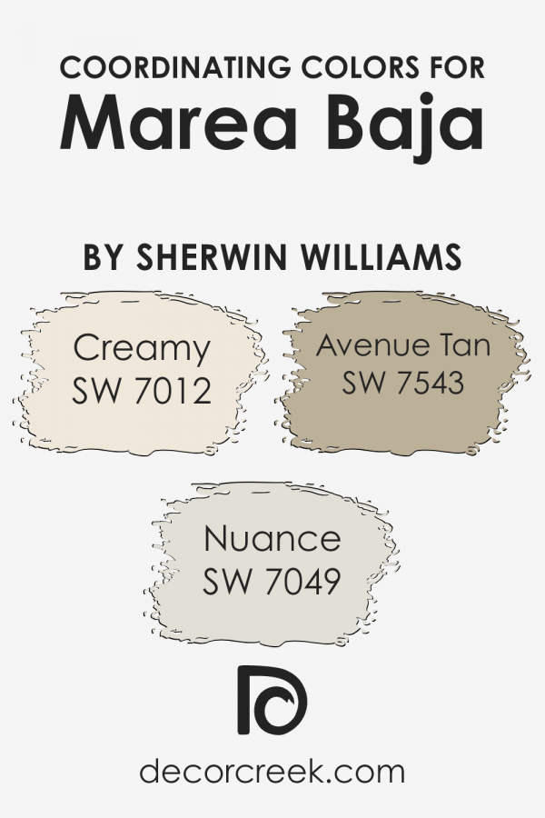 Marea Baja SW 9185 Paint Color by Sherwin Williams - DecorCreek