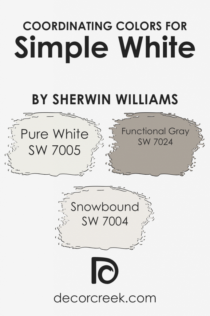 Simple White SW 7021 Paint Color by Sherwin Williams - DecorCreek