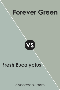 Fresh Eucalyptus SW 9658 Paint Color by Sherwin Williams - DecorCreek