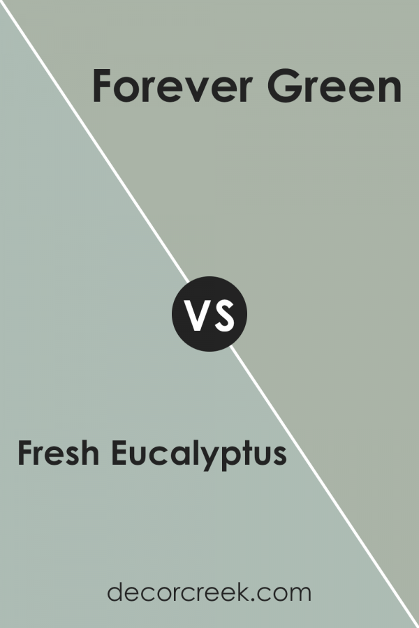 Fresh Eucalyptus SW 9658 Paint Color by Sherwin Williams - DecorCreek