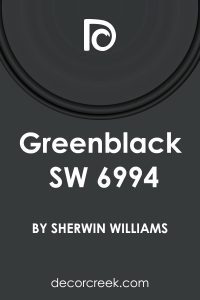 Greenblack SW 6994 Paint Color by Sherwin Williams - DecorCreek