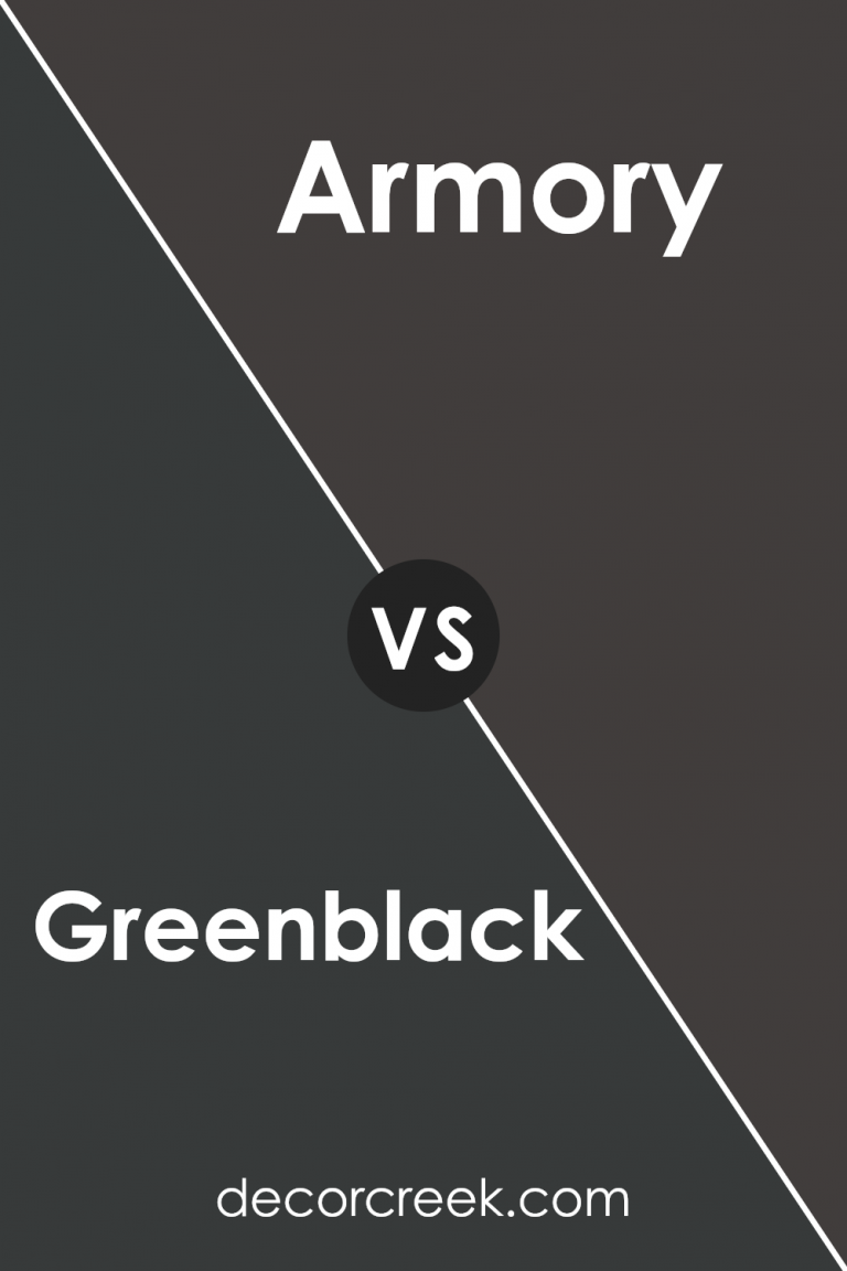 Greenblack SW 6994 Paint Color by Sherwin Williams - DecorCreek