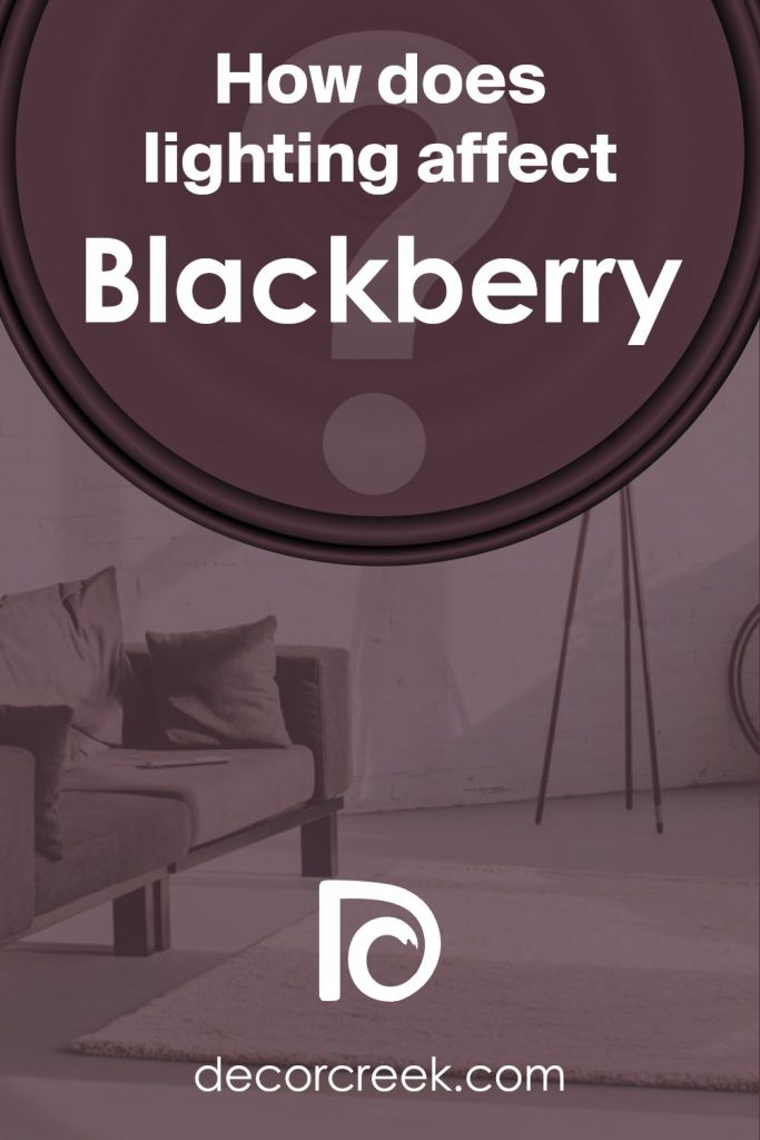 Blackberry SW 7577 Paint Color by Sherwin Williams - DecorCreek