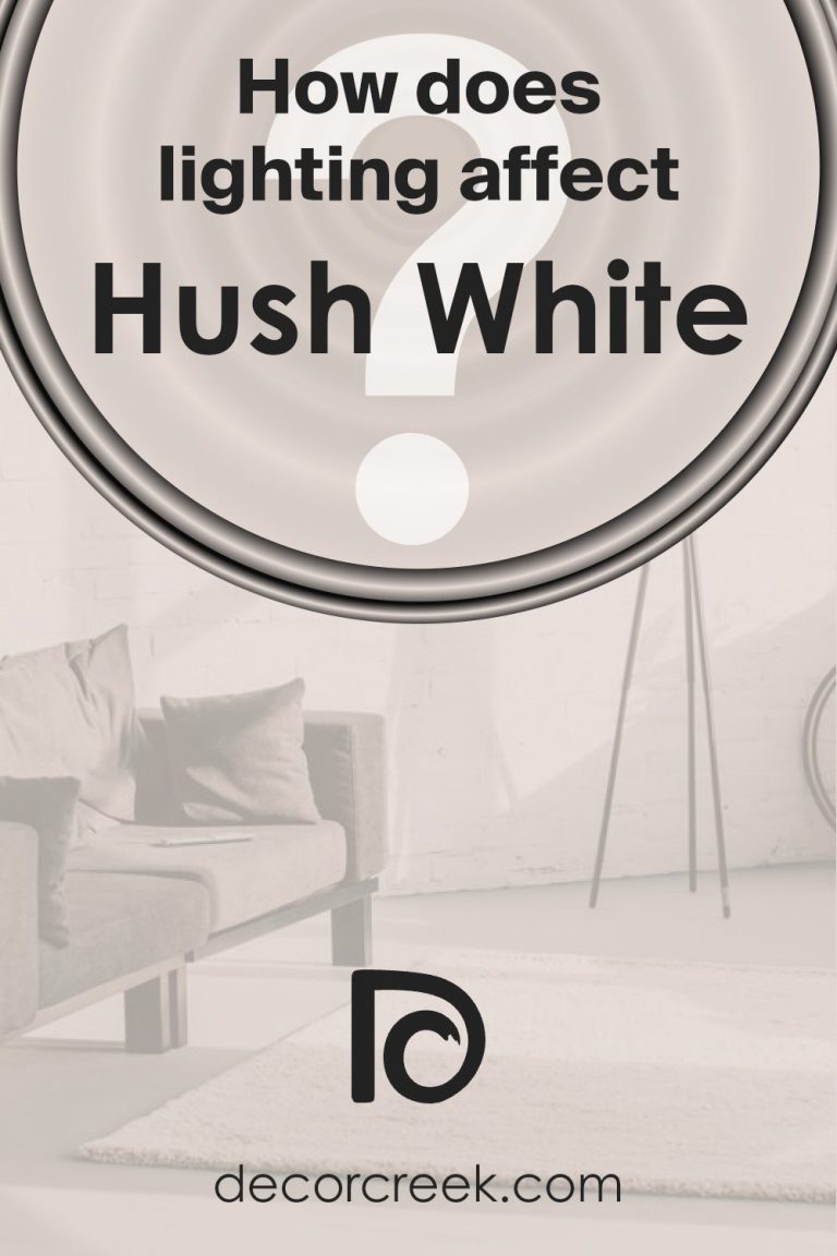 Hush White SW 6042 Paint Color by Sherwin Williams - DecorCreek