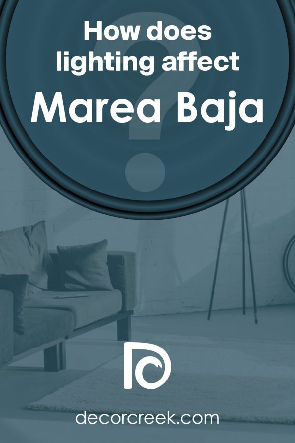 Marea Baja SW 9185 Paint Color by Sherwin Williams - DecorCreek