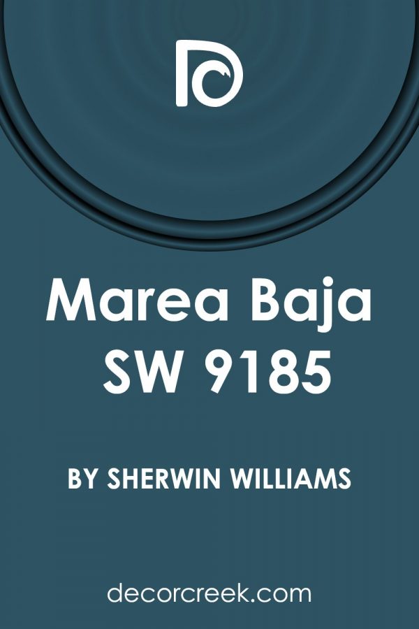 Marea Baja SW 9185 Paint Color by Sherwin Williams - DecorCreek