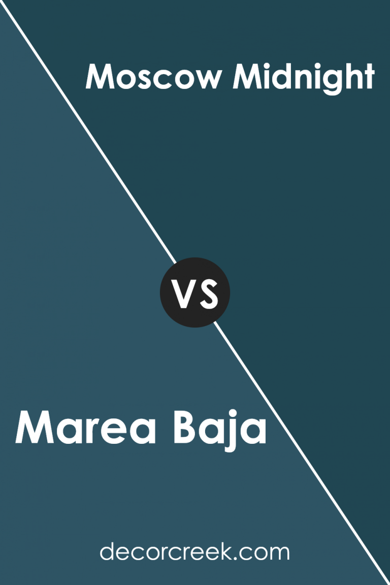 Marea Baja SW 9185 Paint Color by Sherwin Williams - DecorCreek