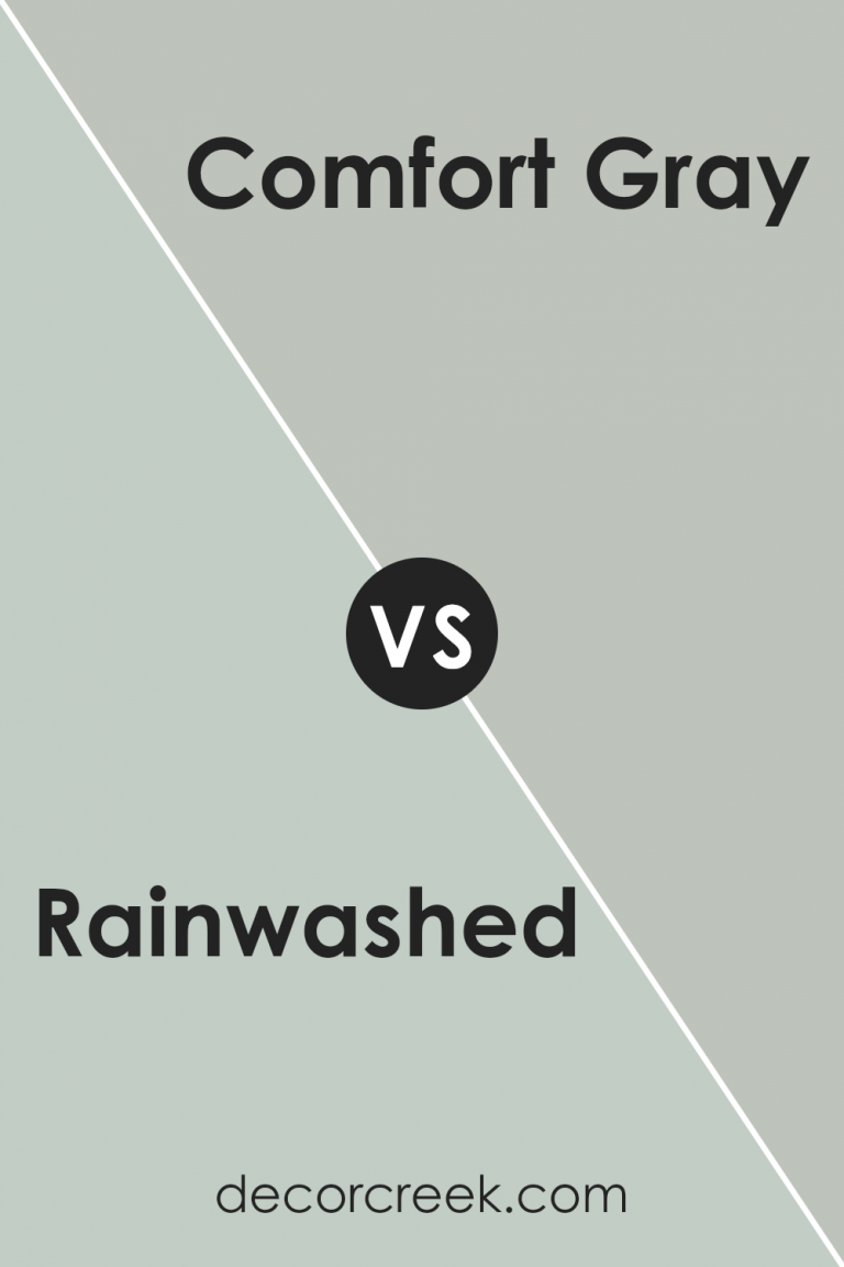 Rainwashed SW 6211 Paint Color by Sherwin Williams - DecorCreek