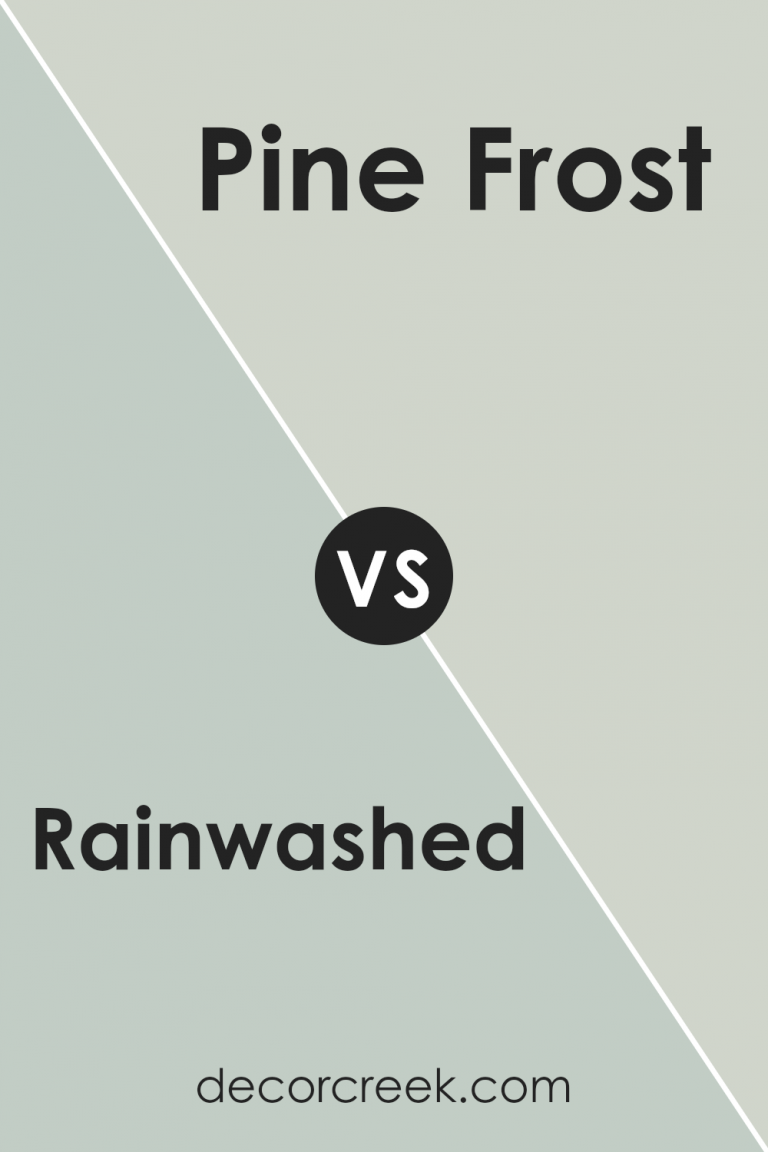 Rainwashed SW 6211 Paint Color by Sherwin Williams - DecorCreek