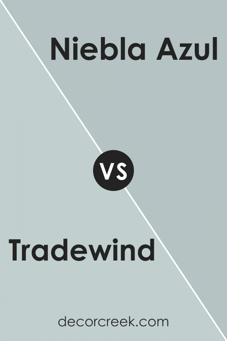 Tradewind SW 6218 Paint Color by Sherwin Williams - DecorCreek